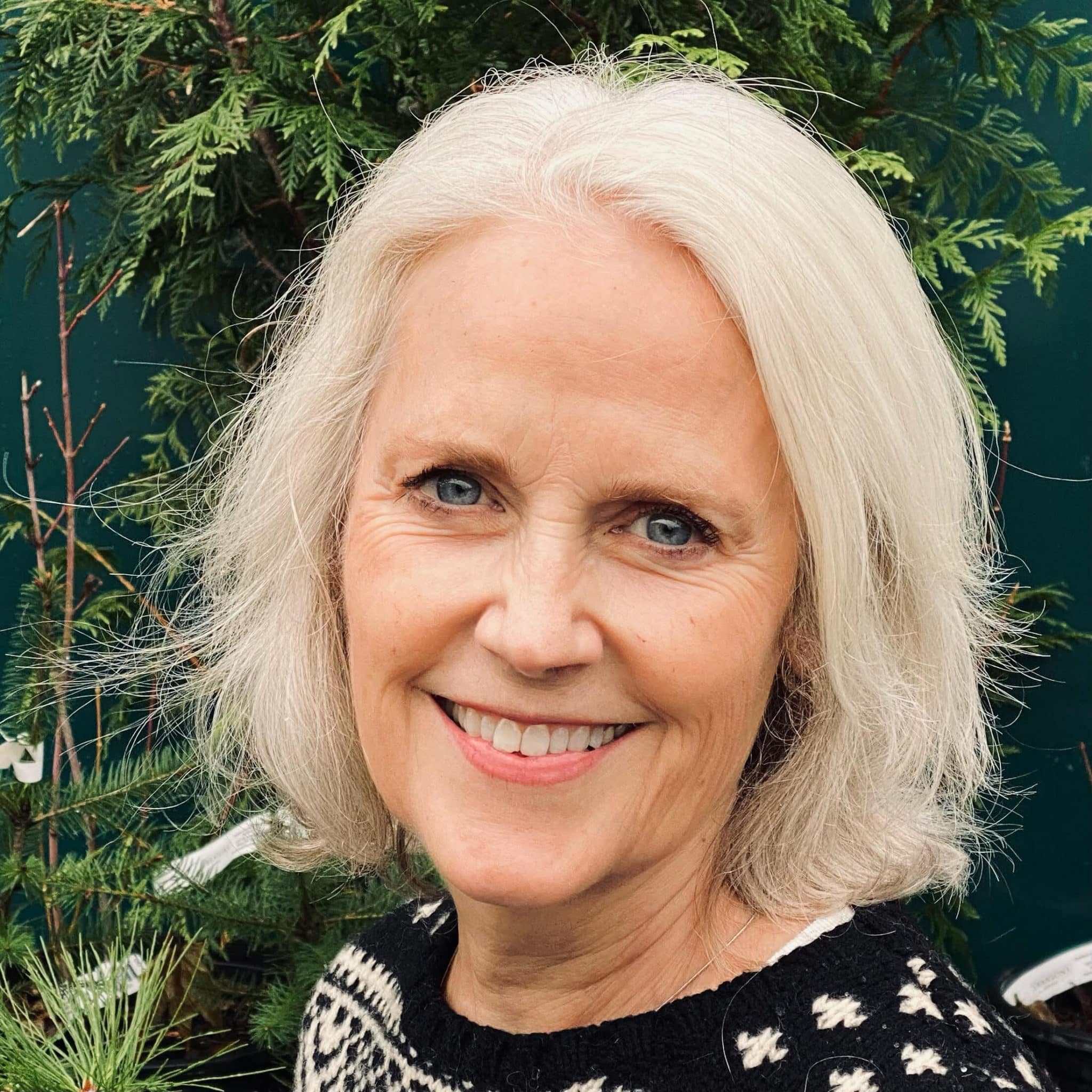 About – Sonic Guild